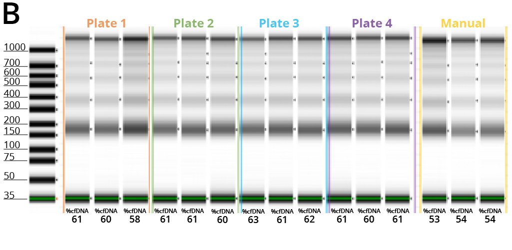 Mag-Bind® cfDNA Kit – Omega Bio-tek