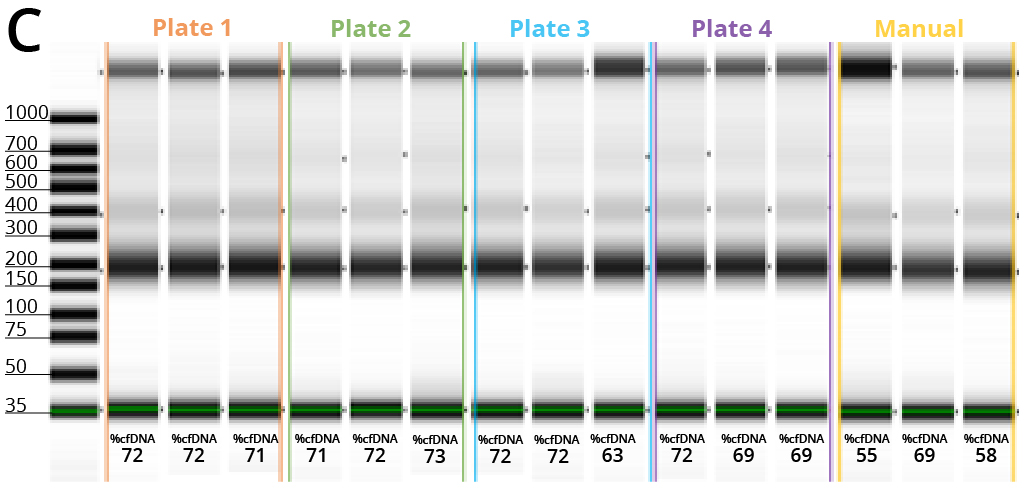 Mag-Bind® cfDNA Kit – Omega Bio-tek