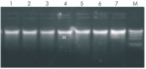 E.Z.N.A.® Stool DNA Kit – Omega Bio-tek