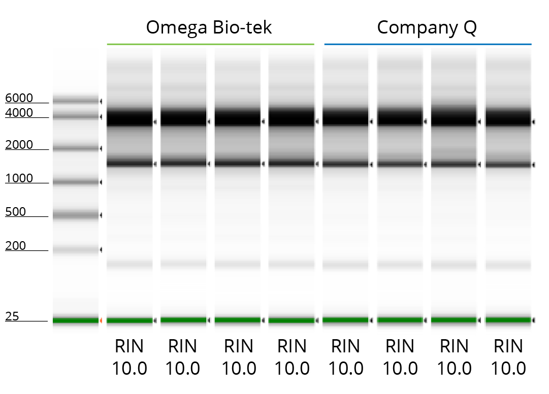 E.Z.N.A.® Total RNA Kit I – Omega Bio-tek