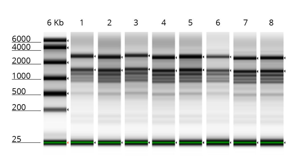 E.Z.N.A.® Plant & Fungal RNA Kit – Omega Bio-tek