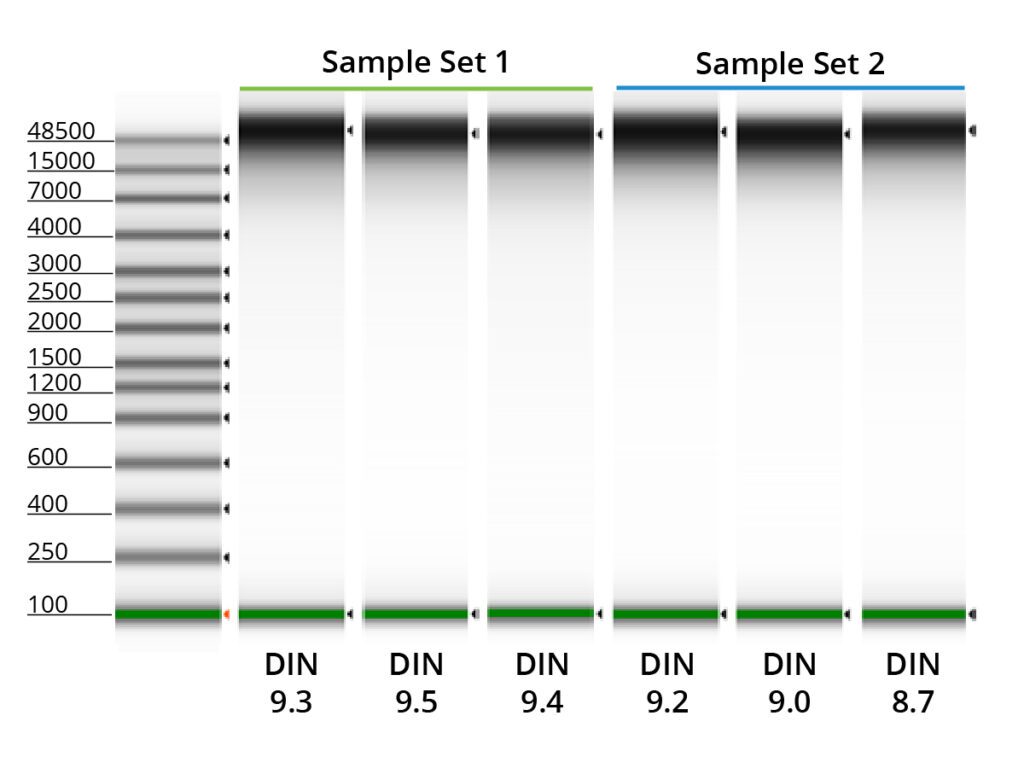 Mag-Bind® Blood & Tissue DNA HDQ 96 Kit – Omega Bio-tek
