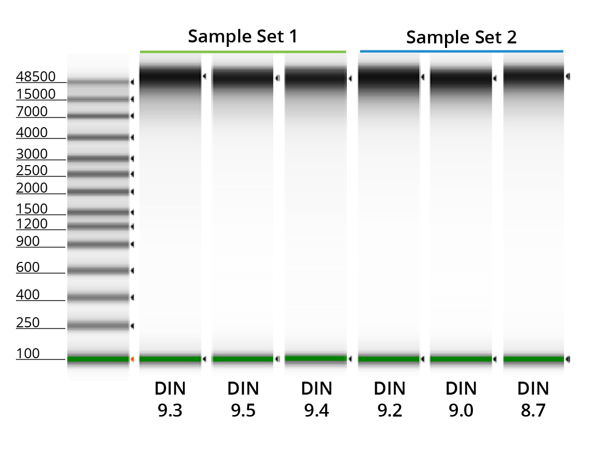 Mag-Bind® Blood & Tissue DNA HDQ 96 Kit – Omega Bio-tek
