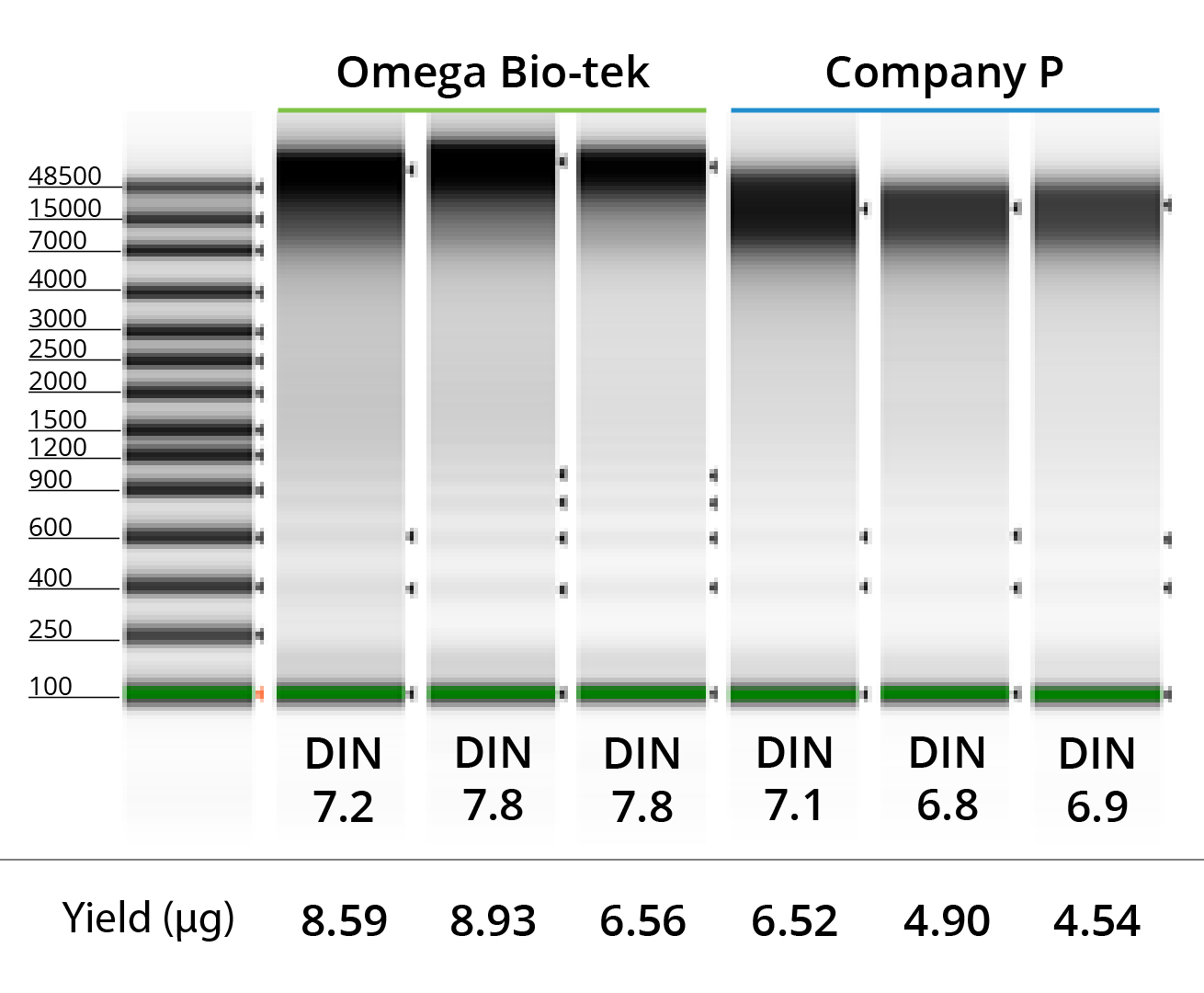 Mag-Bind® Blood & Tissue DNA HDQ 96 Kit – Omega Bio-tek