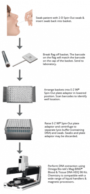 A Simple, User-Friendly, High Throughput DNA Extraction Workflow Using ...