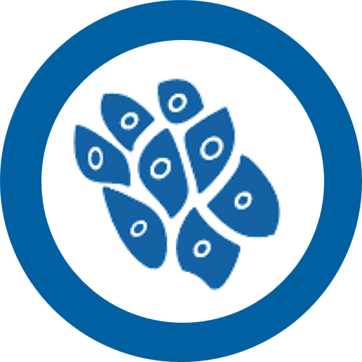 Our Custom Automated Solutions - Omega Bio-tek