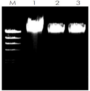 E.Z.N.A.® Insect DNA Kit – Omega Bio-tek