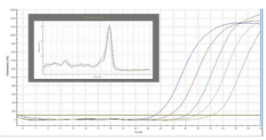 E.Z.N.A.® Tissue DNA Kit – Omega Bio-tek