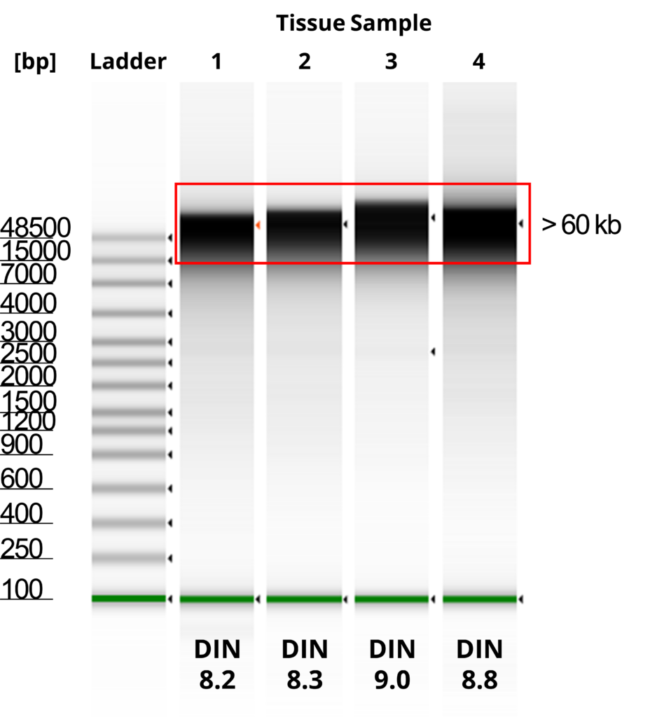 Mag-Bind® Blood & Tissue DNA HDQ Prefilled 96 Kit – Omega Bio-tek