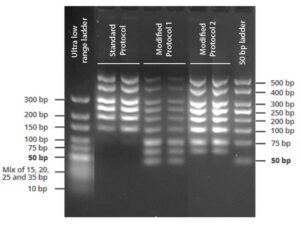 Mag-Bind® cfDNA Kit – Omega Bio-tek