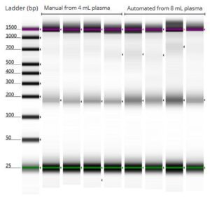 Mag-Bind® cfDNA Kit – Omega Bio-tek