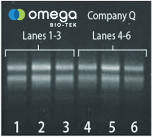 E.Z.N.A.® Plant & Fungal RNA Kit – Omega Bio-tek