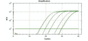 E.Z.N.A.®Total RNA Kit II – Omega Bio-tek