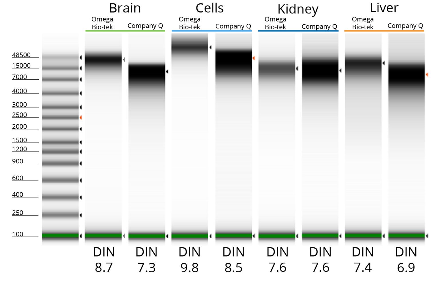 Mag-Bind® DNA/RNA Kit – Omega Bio-tek