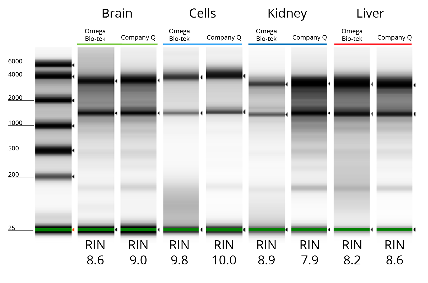 Mag-Bind® DNA/RNA Kit – Omega Bio-tek