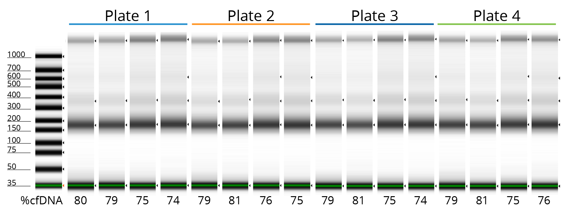 Mag-Bind® cfDNA LSP Kit – Omega Bio-tek